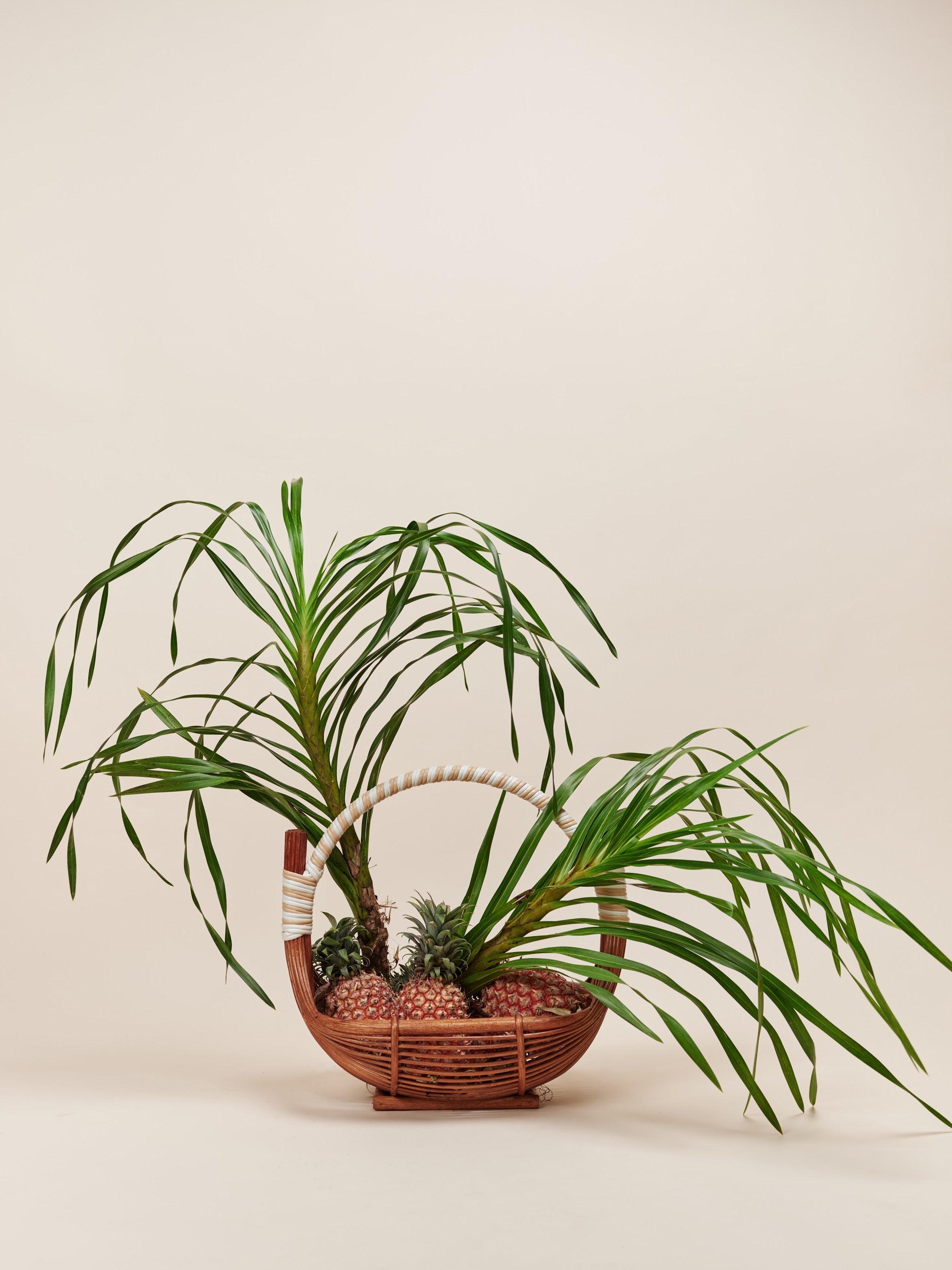 Basket – Ong Shunmugam